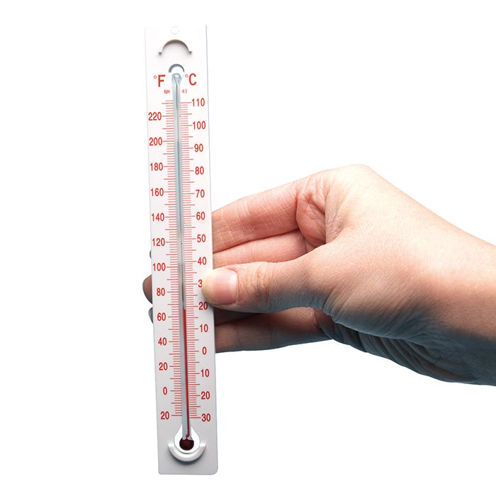 Student Thermometer| Ozzy Educational Toys