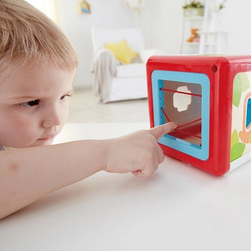 Shape Sorting Box - Hape| Ozzy Educational Toys