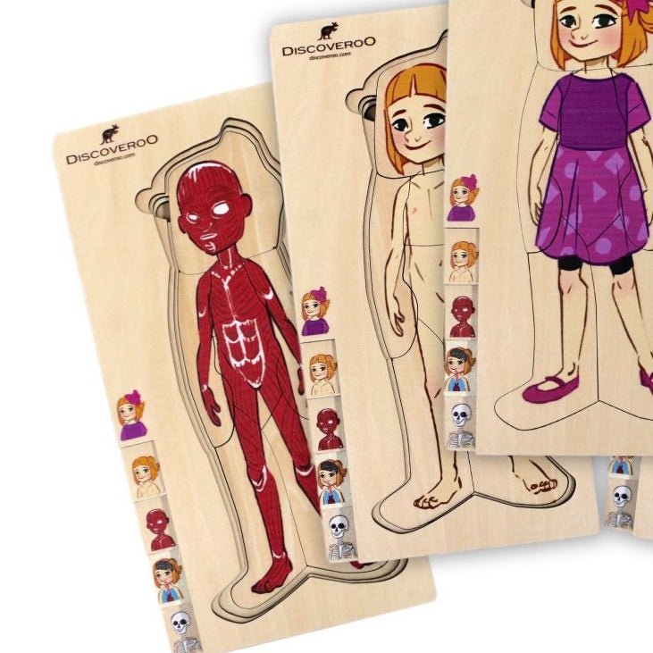 Discoveroo - 5 Layer Body Puzzle - Girl| Ozzy Educational Toys