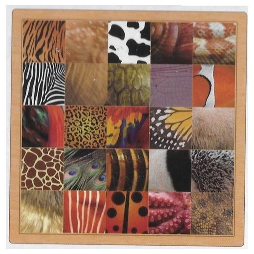 Animal Skin Matching Puzzle| Ozzy Educational Toys